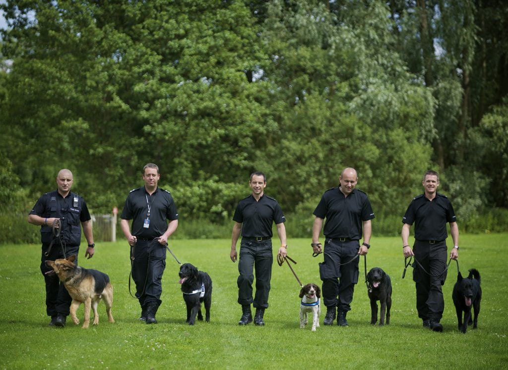 Dog/K9 Security - Security Service